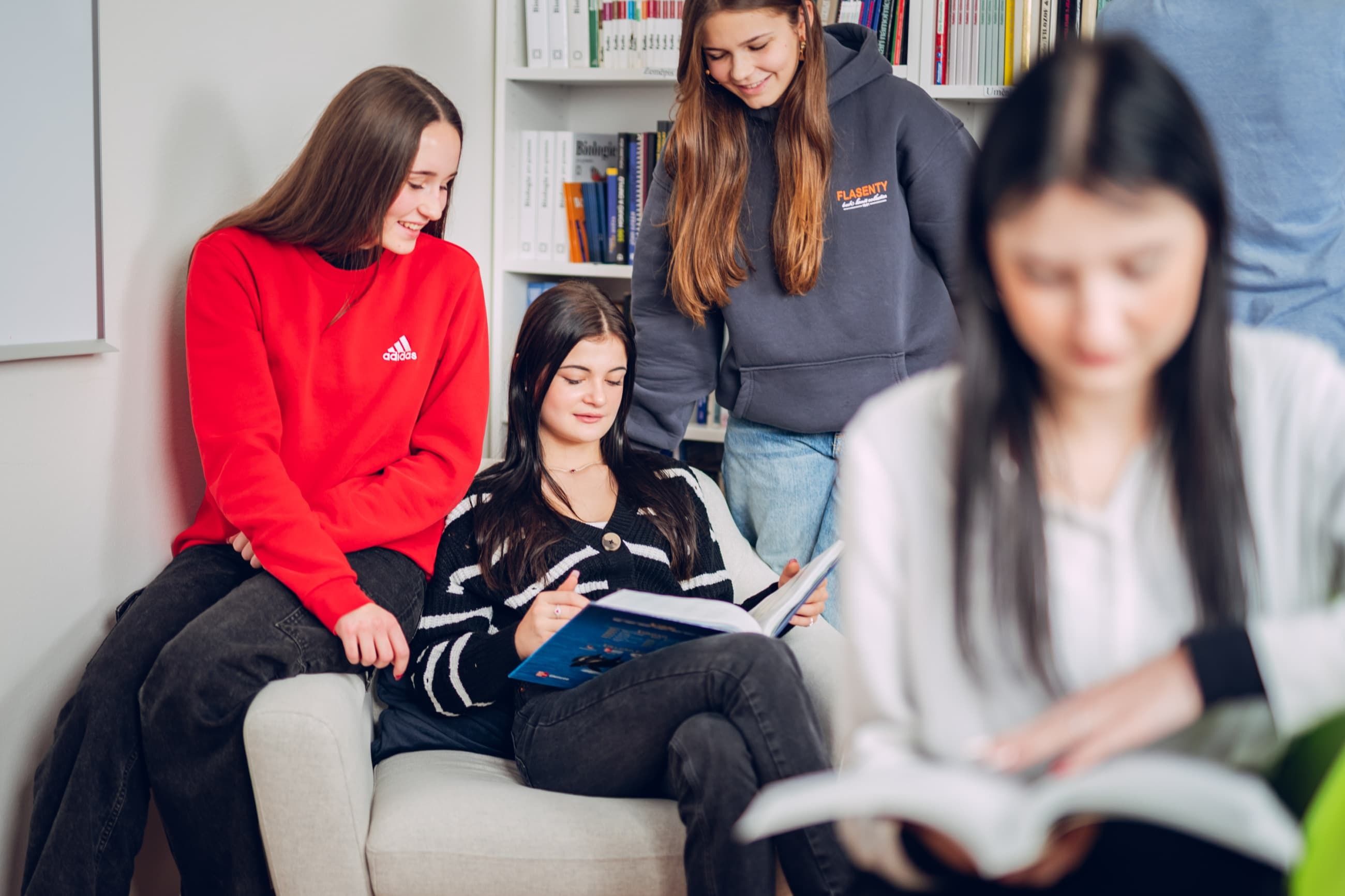 International Baccalaureate (IB) | Fostra