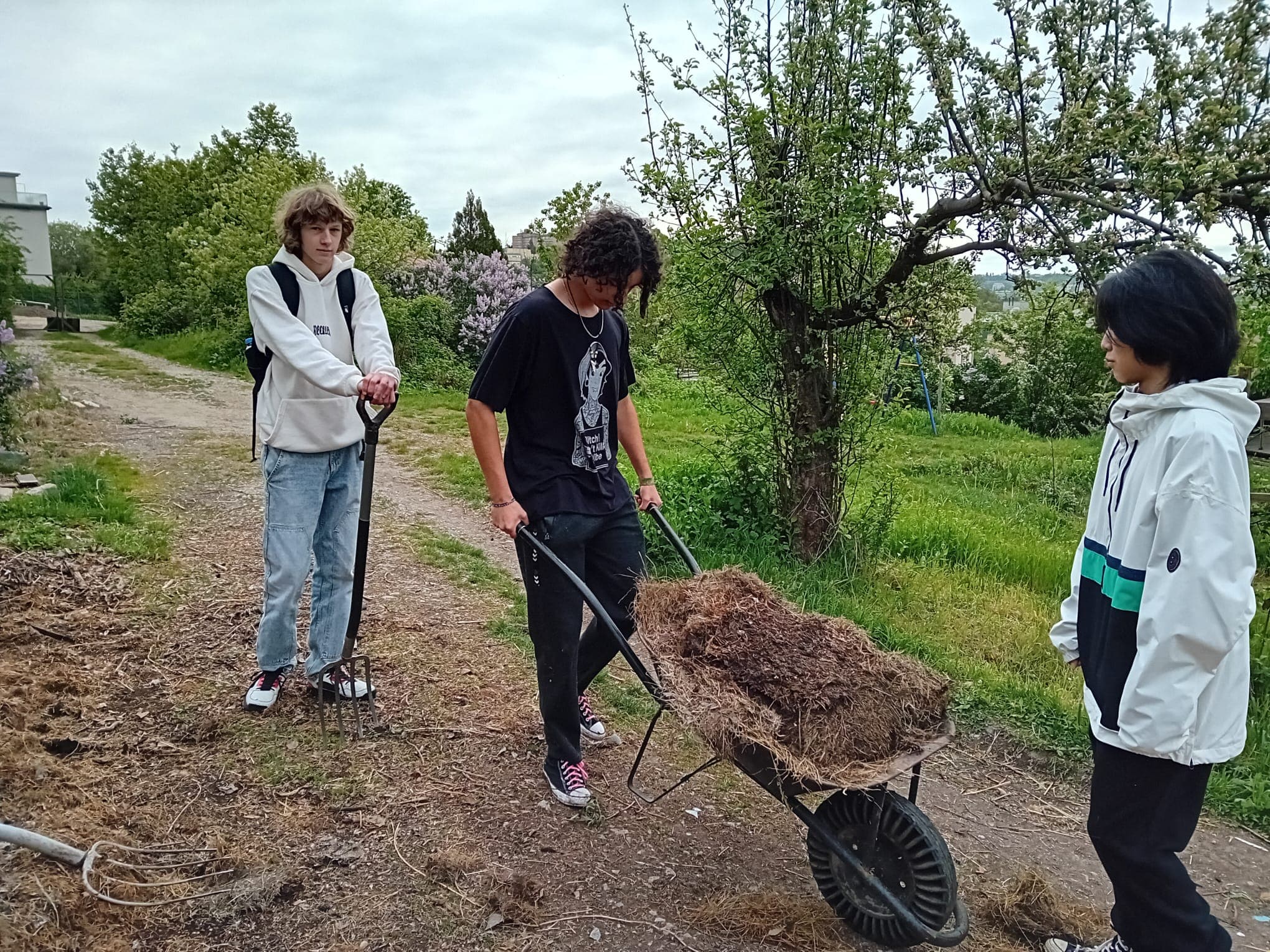 Ekologický program | Fostra